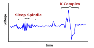 Schlafspindeln – Bedeutung für Gedächtnis & Schlafqualität